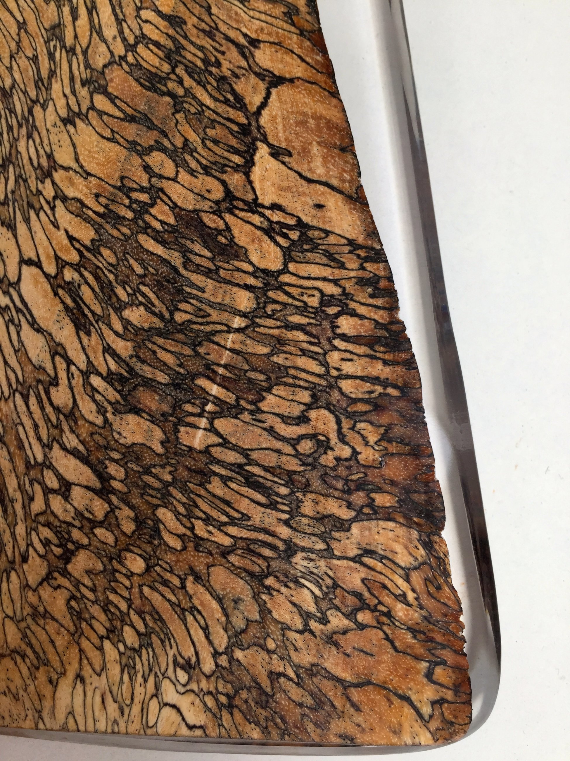 Spalted Tamarind Serving Platter | Neil Scott Furniture